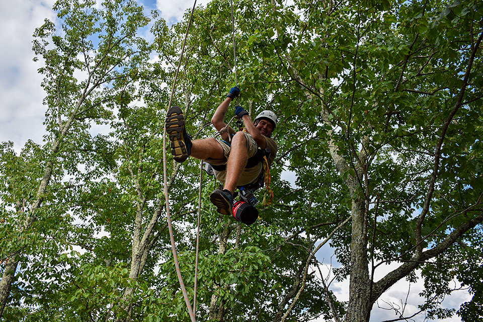 Pictures for Smoky Mountain Ziplines - Pigeon Forge, Tennessee